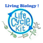 Classroom Tadpole Kits -#1 Perfect For Education! | GrowaFrog