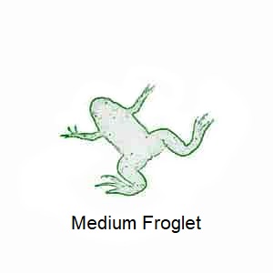 Classic Growafrog Fun And Fact Booklet | GrowaFrog